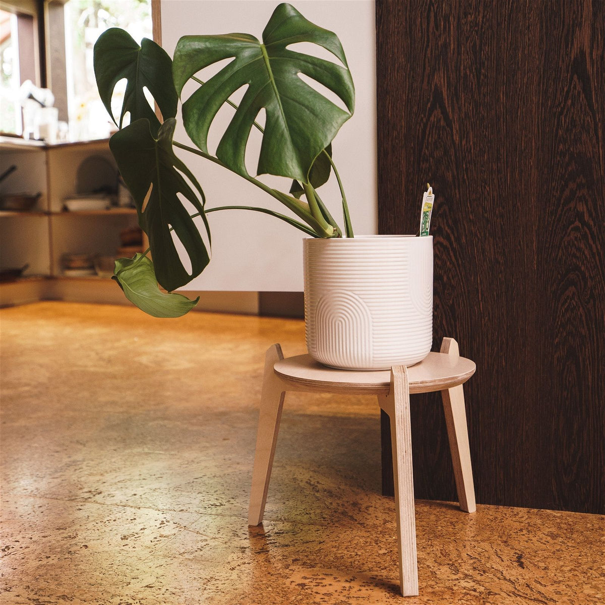 Japandi Plant Stand 2 Pack - Small | Home Decor | Premium Wood | NZ ...
